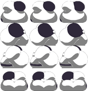 SFRPG - EXPANDED - Custom Sprites - SFRPG - EXPANDED - Weight Gaming